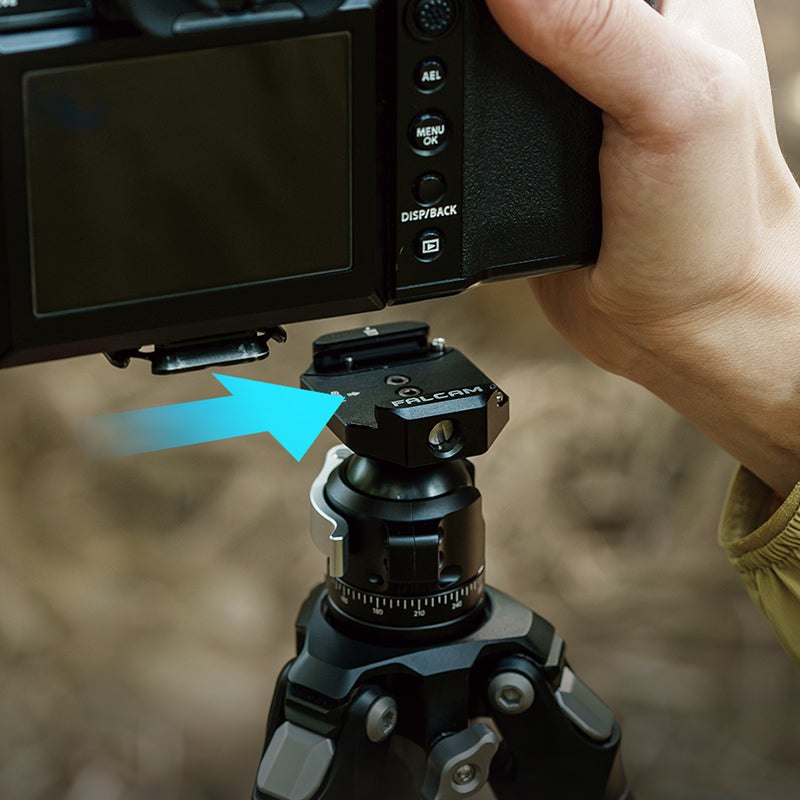 TreeRoot Quick Lock Lite Stativ | Ultraleichtes Profigerät